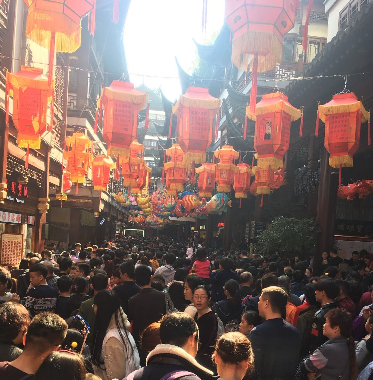 Openning Travel and Tourism Agency in China