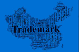 How to Register a Trademark in China: The Detailed Process for Applying TM