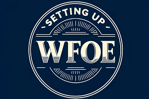 Wholly Foreign-Owned Enterprise in China: A Comprehensive Guide